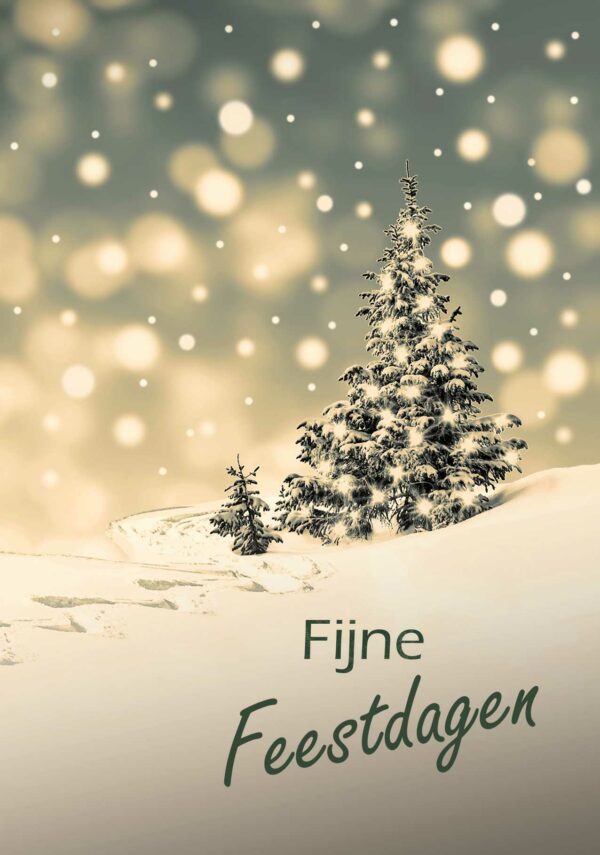 Fijne feestdagen - Max Cadeaus - Creëer bijzondere momenten