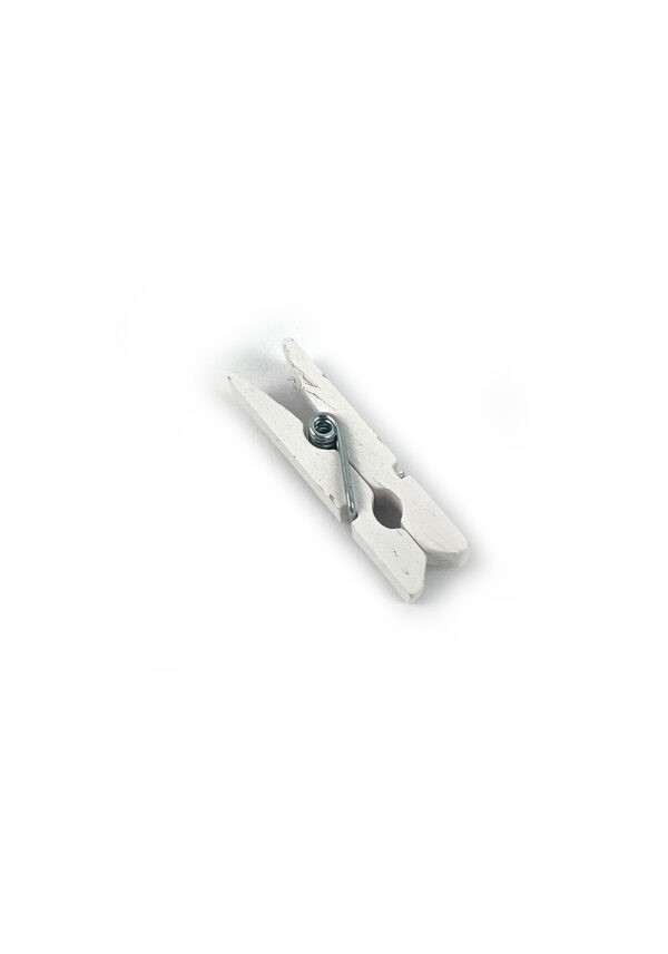 Lief - Groeiconfetti in pergamijn zakje met kaartje en mini-knijper ...